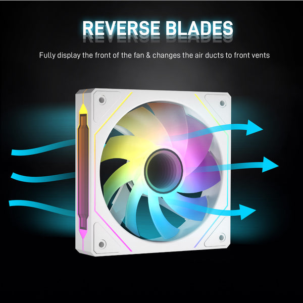 DARKROCK R120-2-Pack 120mm Reverse Installed Infinite Mirror Design PC ...